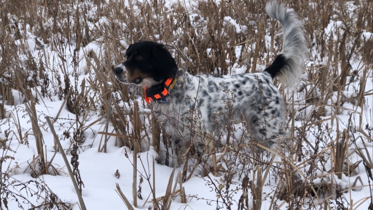 Training – Webfoot Outdoors